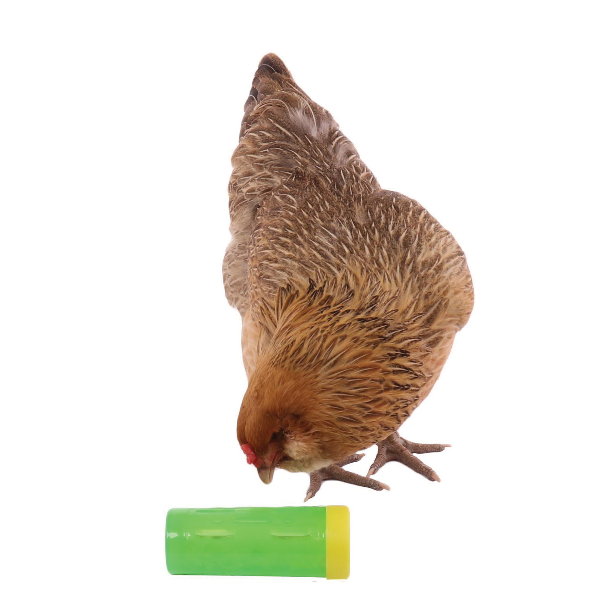 Now Order Online and Pickup In-store at IFA Country Stores