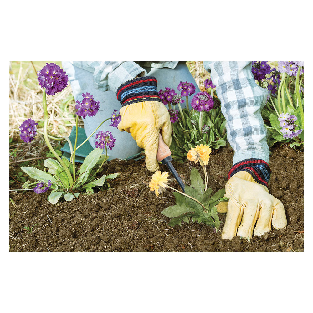Ames 2447000 Hand Weeder, Steel Blade, Wood Handle | Ames
