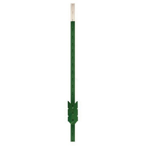 W. Silver TG12506001 T-Post, 6 ft L, Rail Steel, Green/Wh...