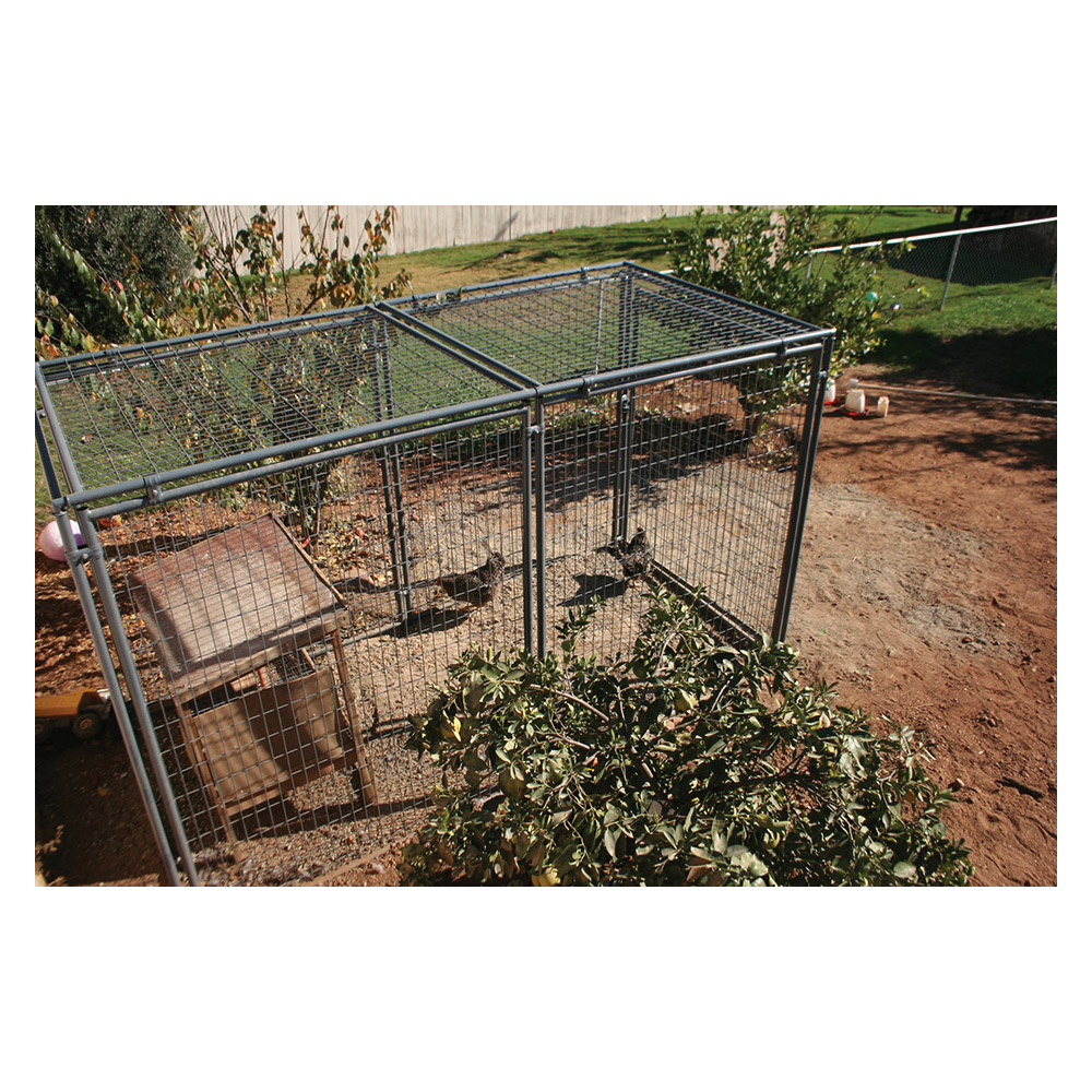 RUGGED RANCH DG510PCWT 103205430 | IFA