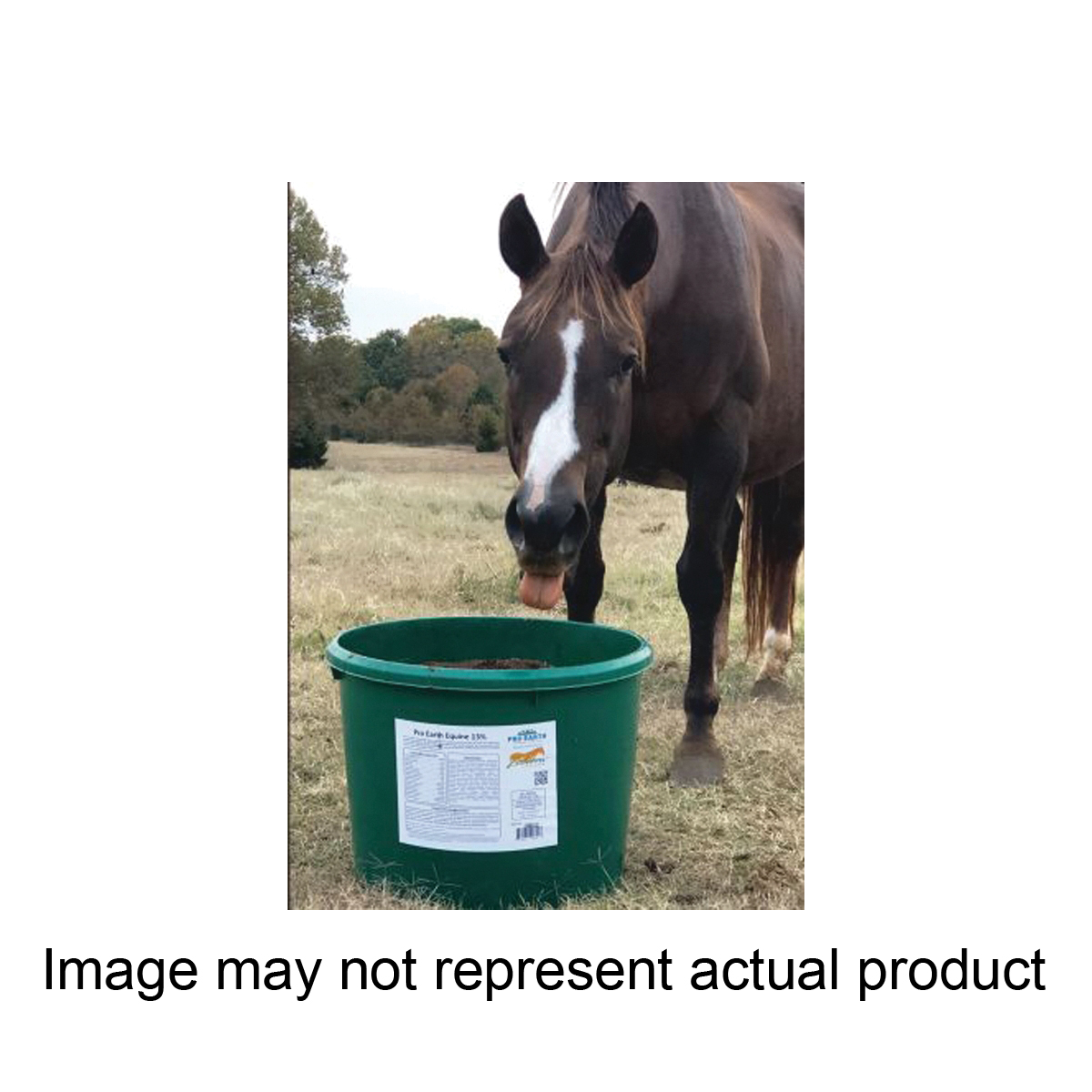 Equine Feed | IFA