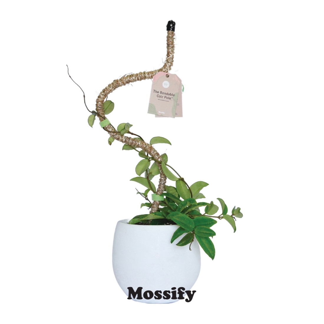 Mossify MFYBCP0030 Bendable Pole, Coir/Steel | Mossify