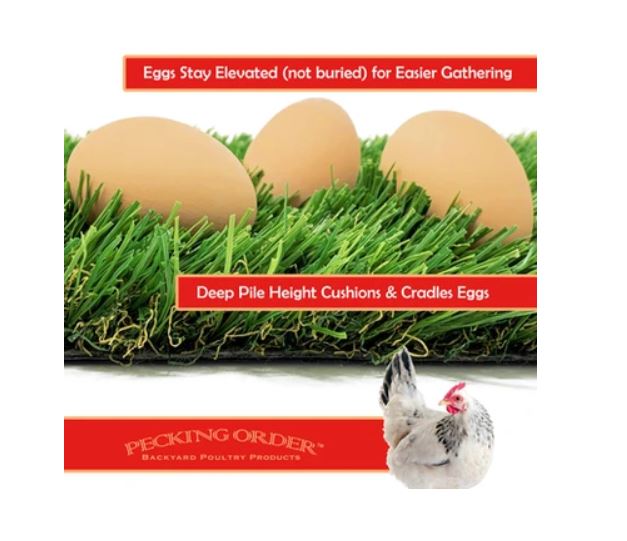 Pecking Order 9662 103522328 | IFA