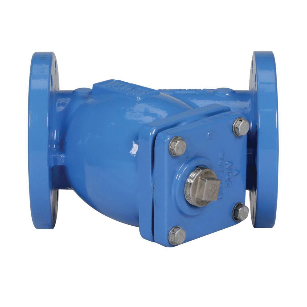 WATTS® 0825210 WATT212EPOXYYSTRAINER | Noble