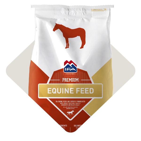 Livestock Feed & Supplies | IFA