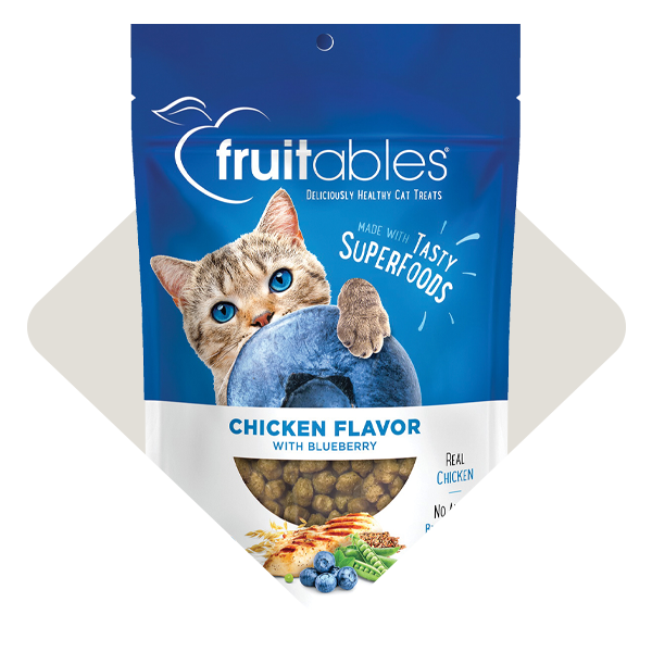 Companion Pet | Cat | IFA
