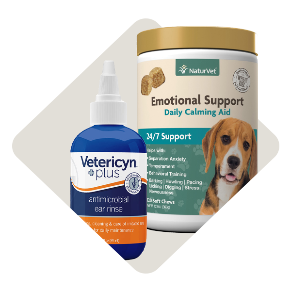 Companion Pet | Dog | IFA