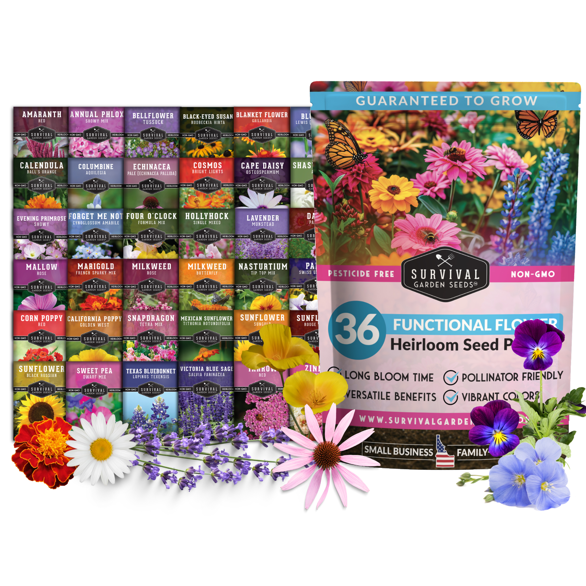 Seeds | IFA