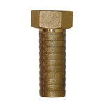 Buchanan Rubber | 1LONG SHANK BRASS FEM IPT