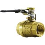 Buchanan Rubber | 1 THRD BRASS SPRING LOADED BALL VALVE